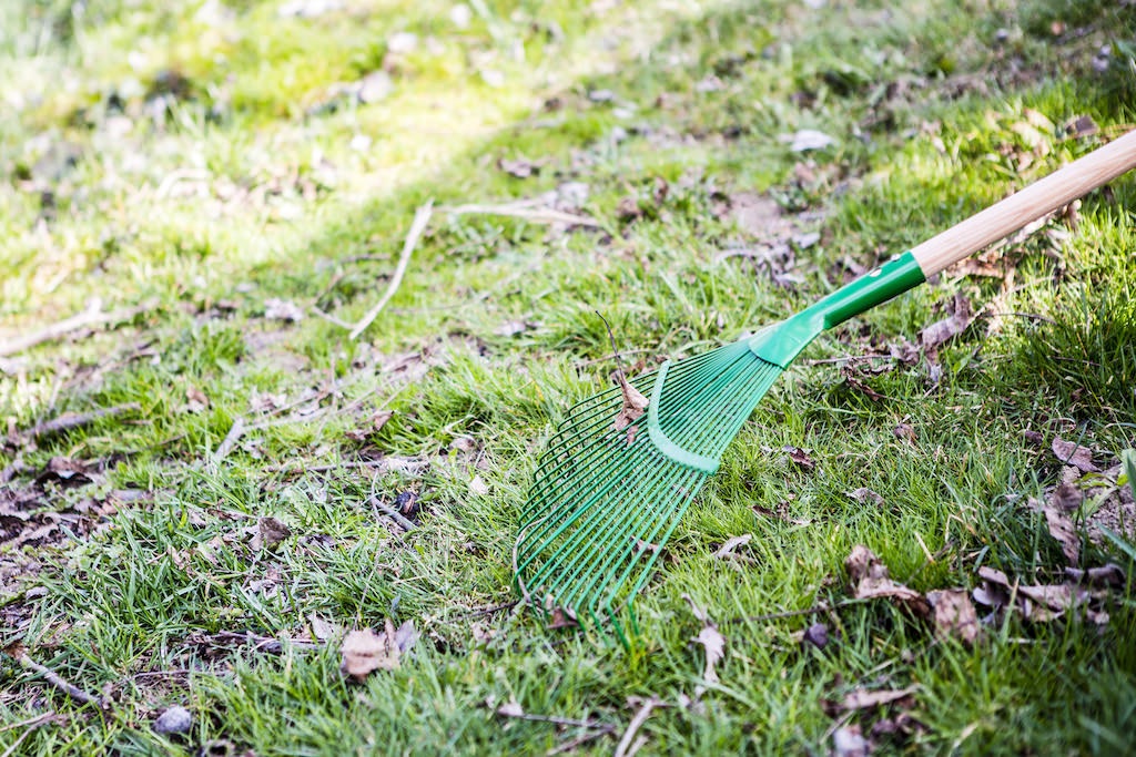 Thatch Removal - Vibrant Lawn Care Kent -Vibrant Lawn Care Kent